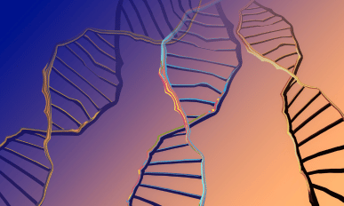 Life Sciences Software Development | Hicron Software